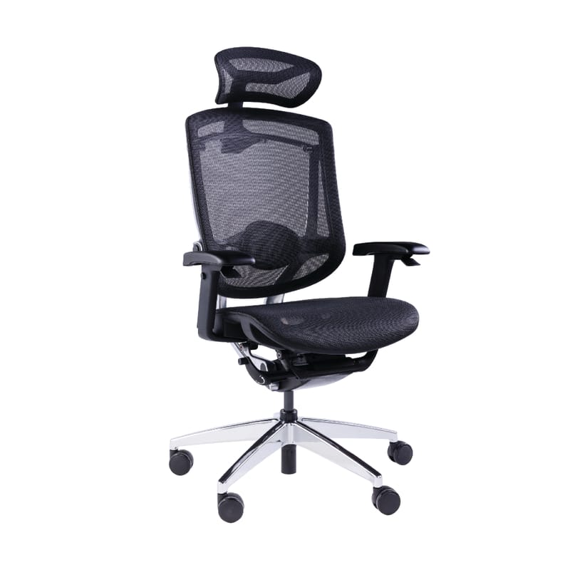 Ergonomica Desk | chairs